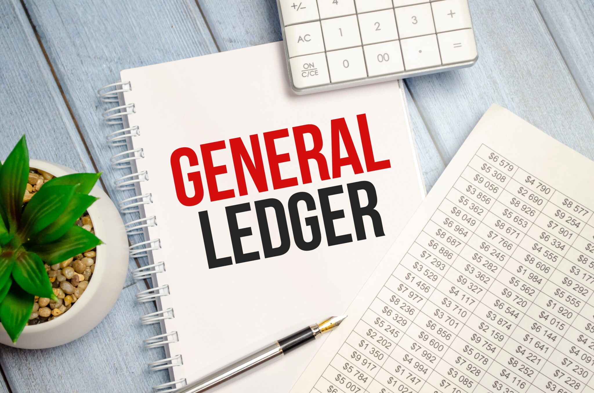 How to Read a General Ledger (Without Boredom-Induced Napping ...